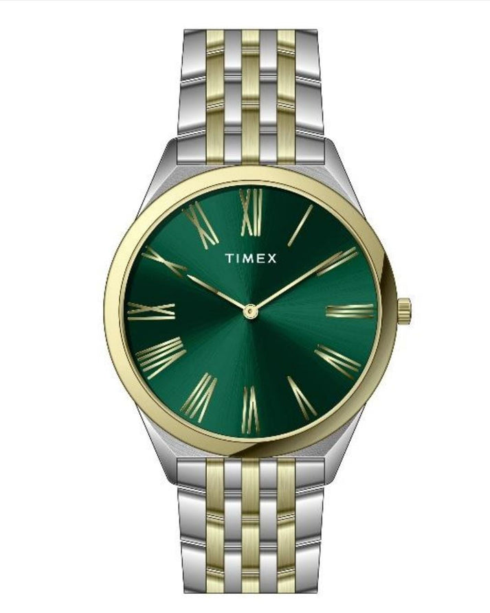 Timex Premium Green Dial Analog Men's Watch, TWEG27903