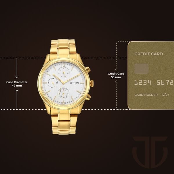 Titan Raga Black and Gold Silver Dial Analog with Day and Date Stainle